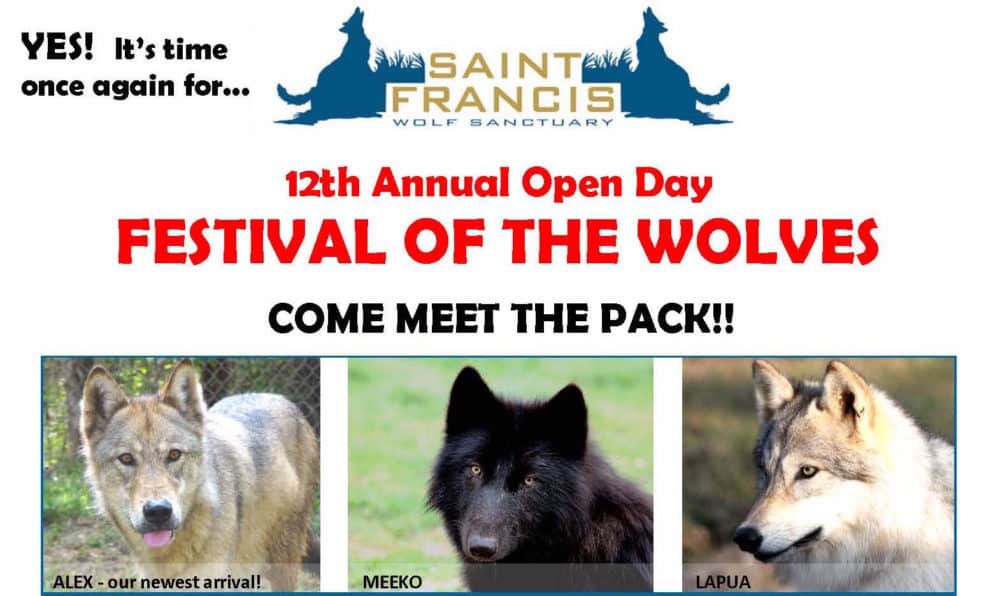 Saint Francis Wolf Sanctuary to hold Open House - Hello Woodlands
