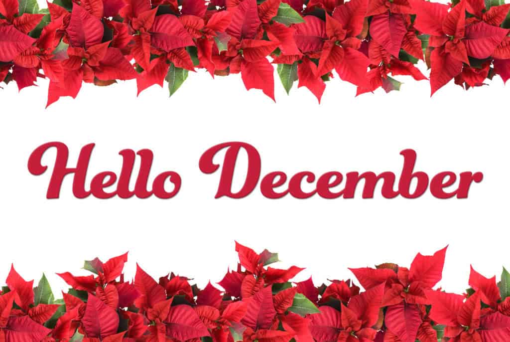 Hello December - Hello Woodlands