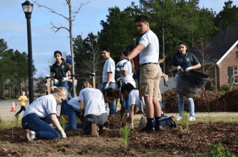 Volunteers Needed for Community Tree Planting Event in The Woodlands ...