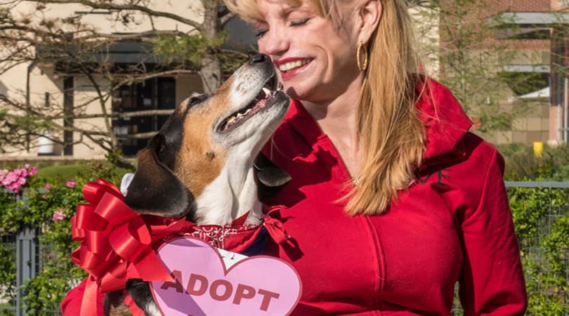 Humane Society of Montgomery County: Same Mission, New Vision - Hello ...