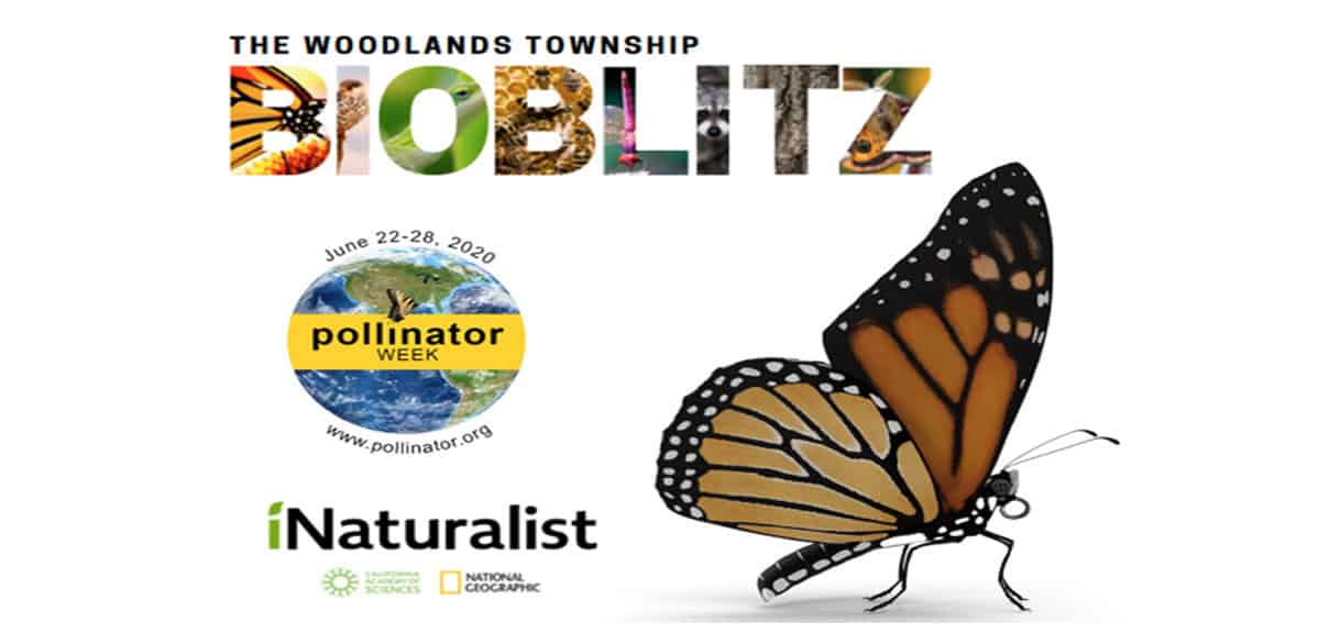 BioBlitz Brings Community Together to Identify Local Species - Hello ...