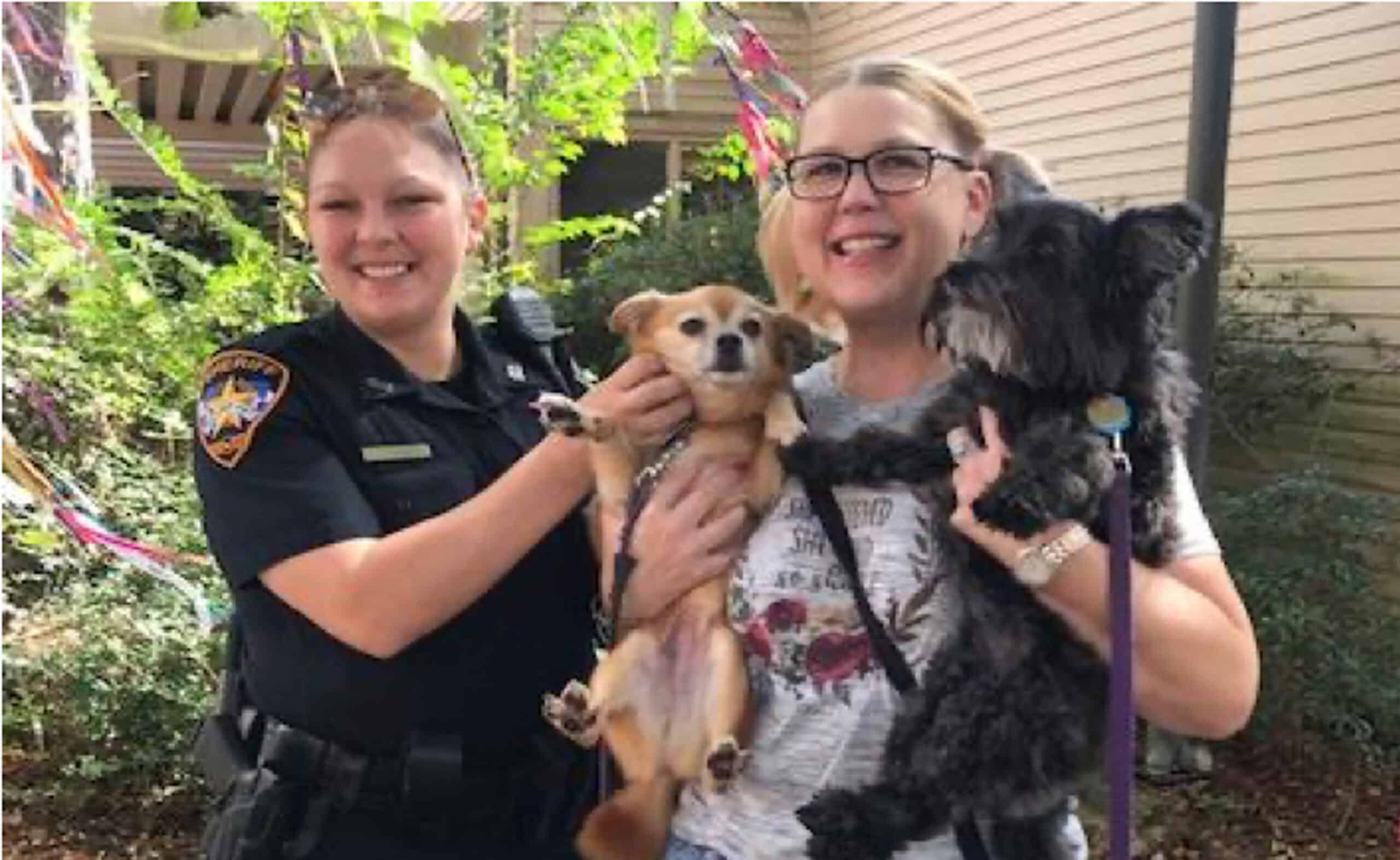 Township Neighborhood Watch to host Dog Walker Watch program beginning ...