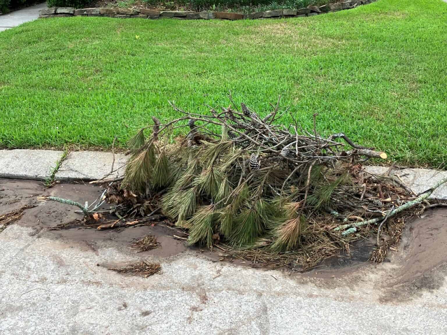 July 9 Deadline for Residents to Place Large Storm Debris in ROW for ...