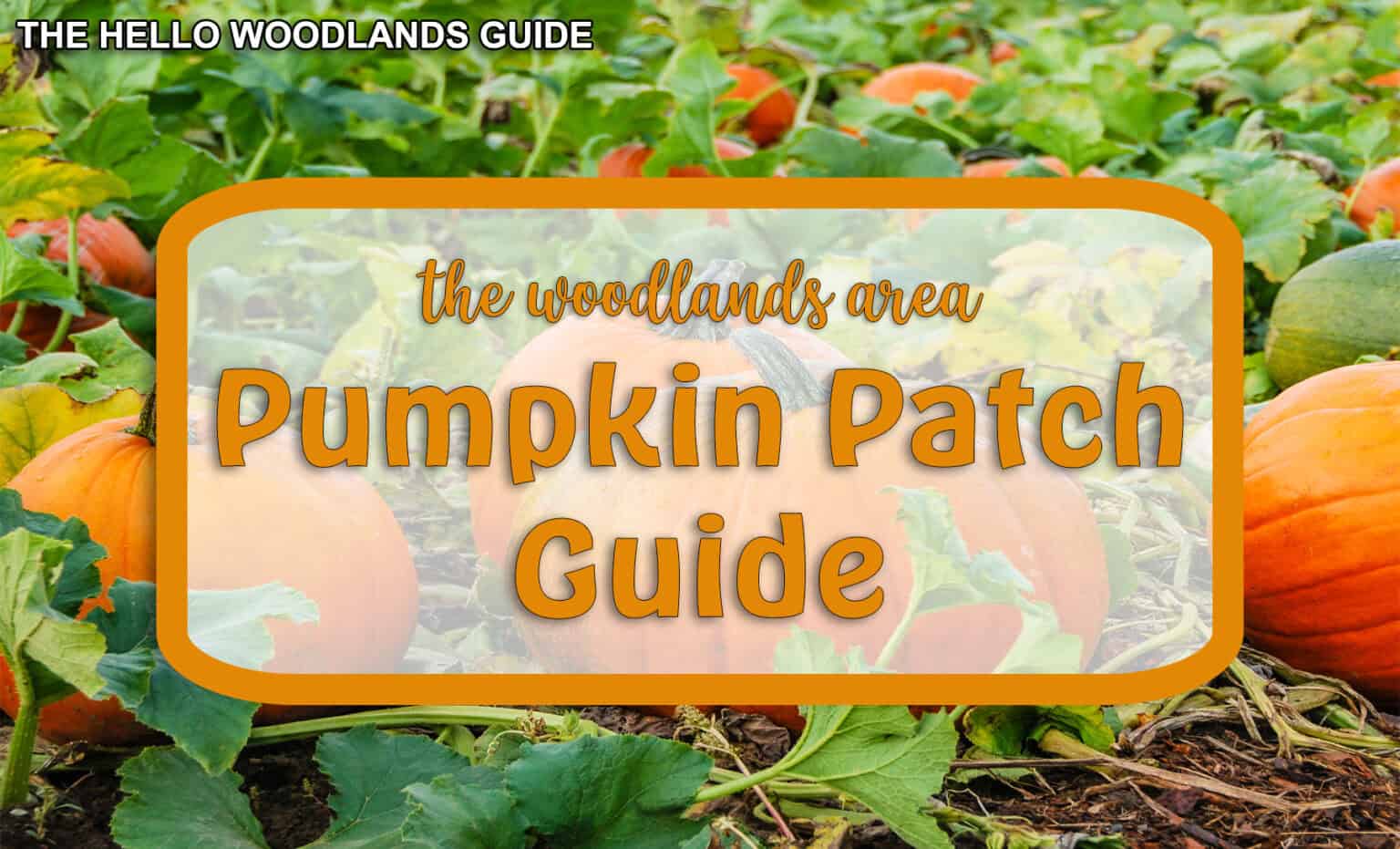 Pumpkin Patches in The Woodlands Area 2024 - Hello Woodlands