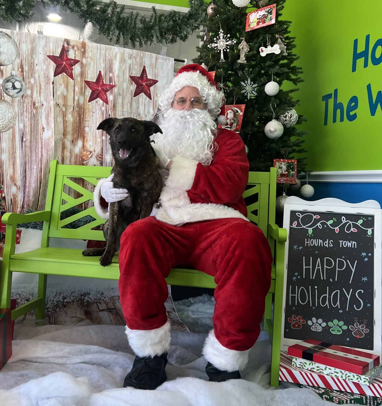 Pet of the Month: Layla - Hello Woodlands