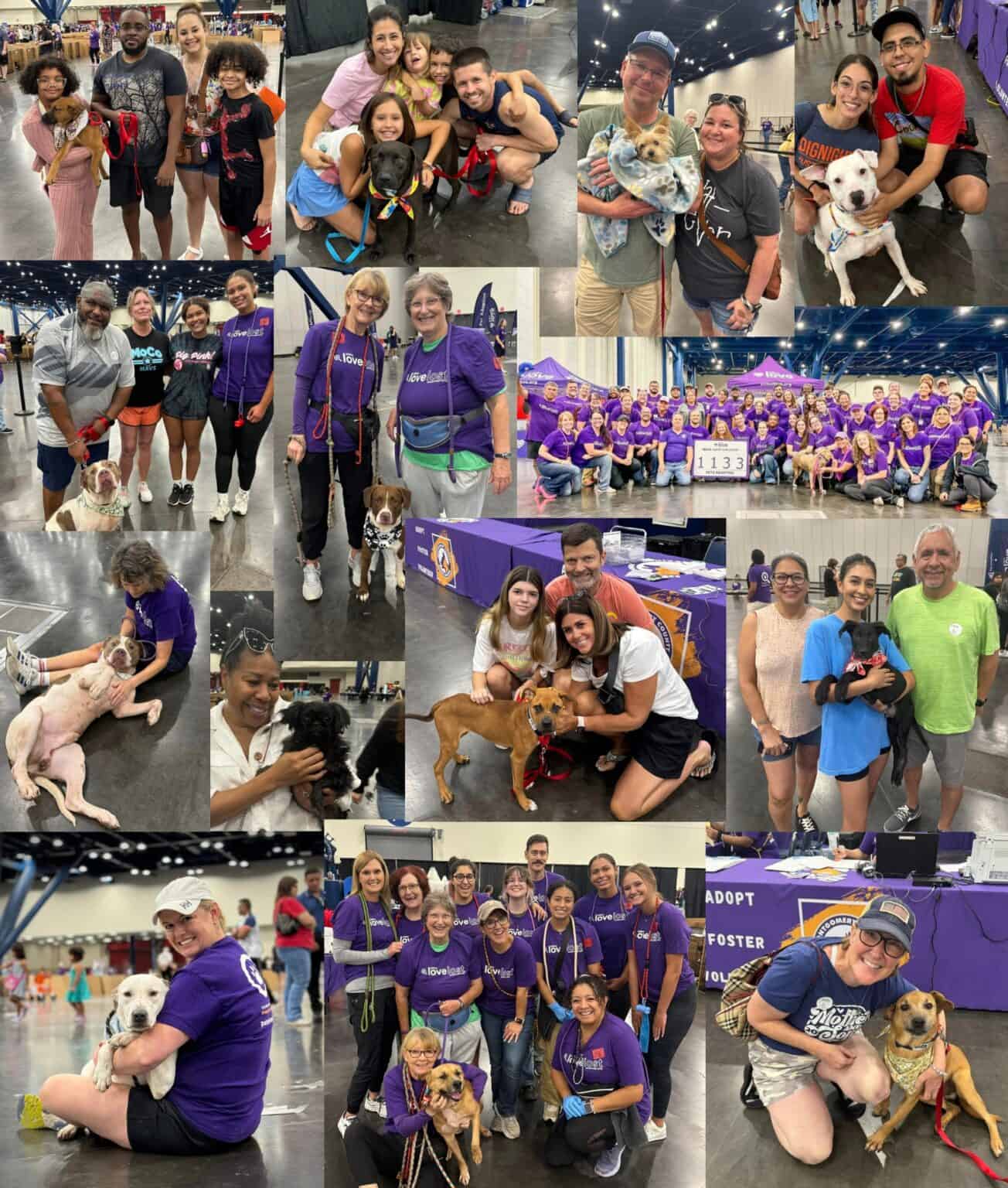 1133 Adoptions at Petco Love Mega Adoption Event with 20 Shelter ...