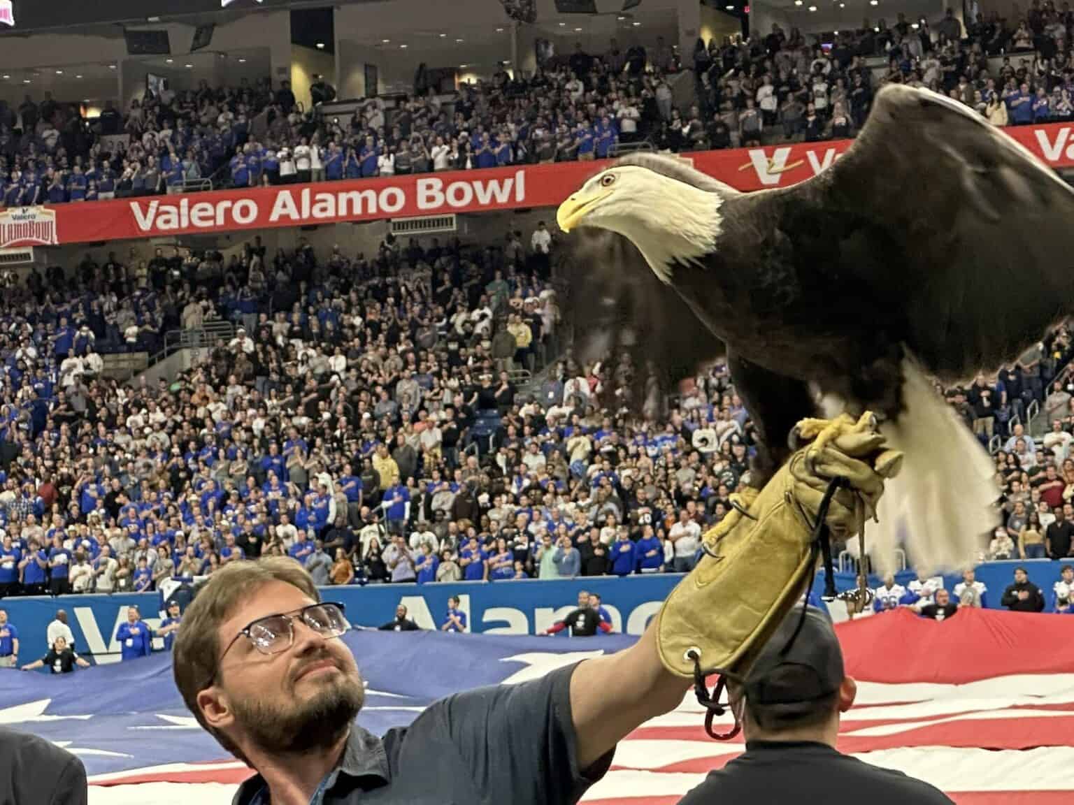 Bald eagle appearance to soar at South County 4th of July Parade ...