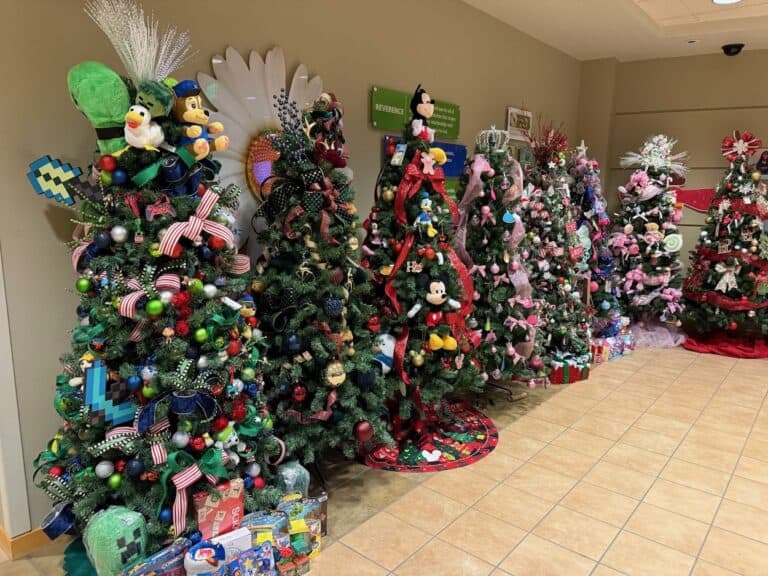 Christmas Trees bring Holiday Hope at St. Luke's Health-The Woodlands ...